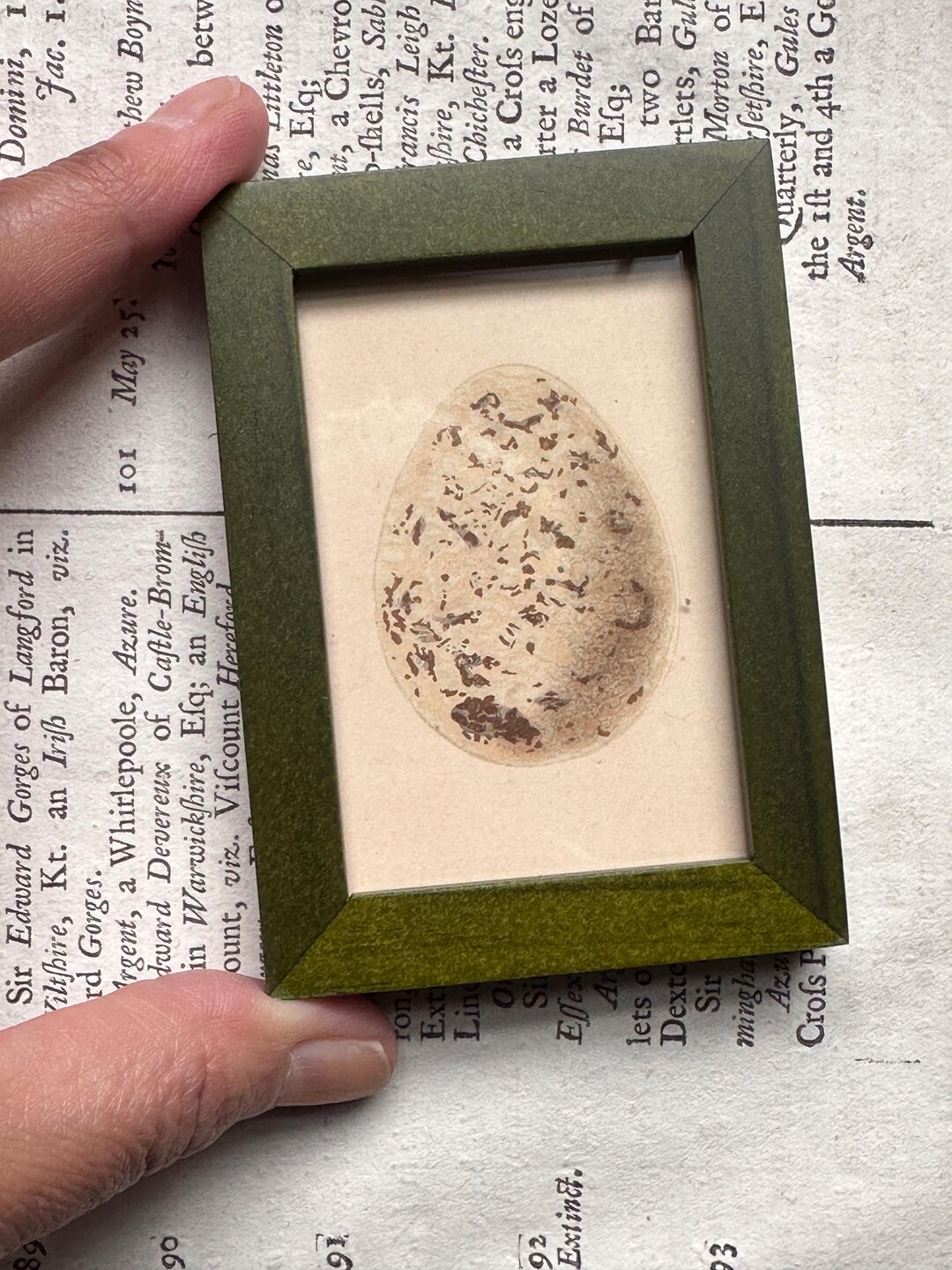 TINY! C. 1875 FRAMED EGG Lithograph • Original Antique Print • Easter ...