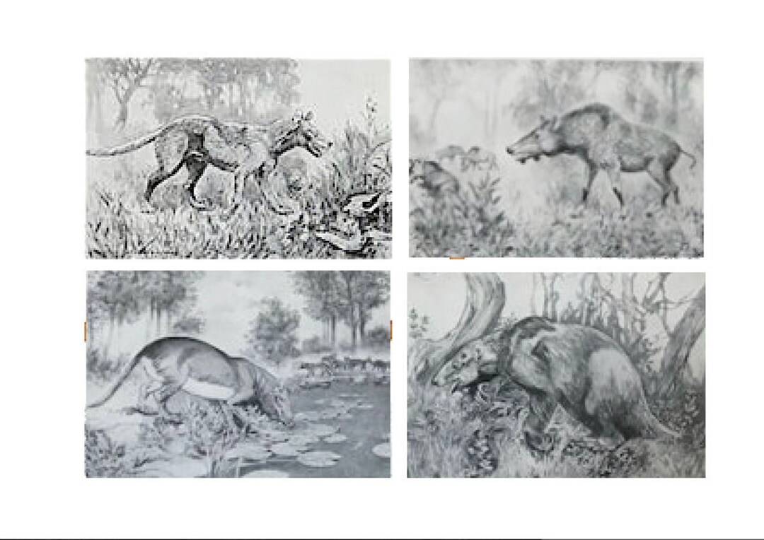 This item is unavailable - Etsy