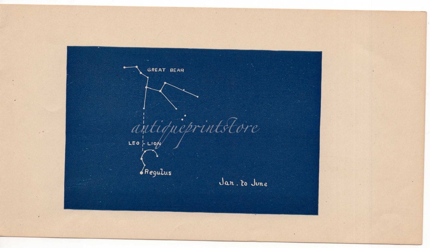 Regulus Constellation