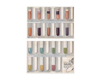 Pee Color Chart, Water Intake Chart, Urine Color Chart, Pee Meaning ...