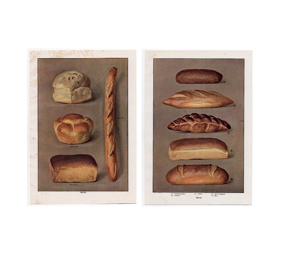 C 1911 TYPES OF BREAD Lithographs - Original Antique Prints - Breads ...