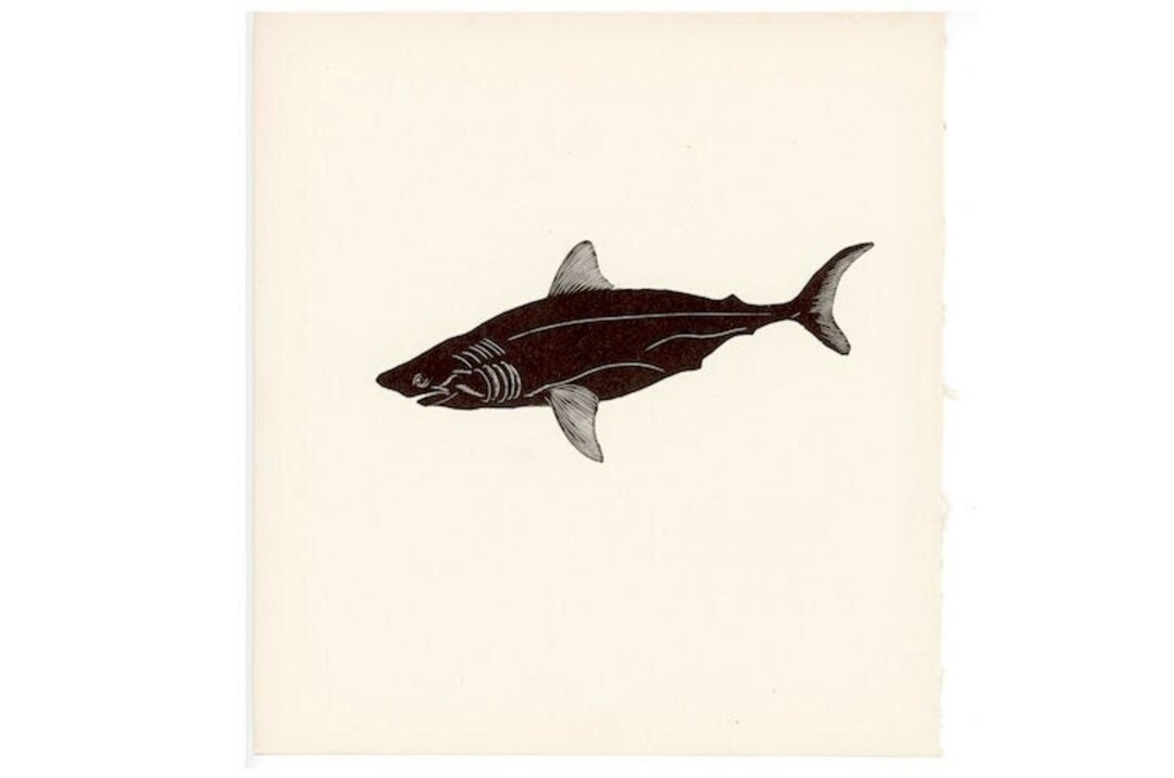 C. 1920's SHARK Lithograph • Original Antique Print • Fish Print ...