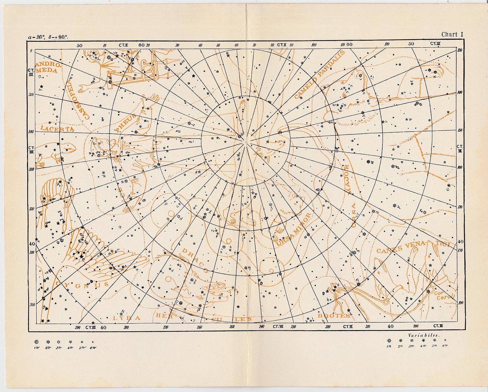 STAR CHART I C. 1908 • Original Antique Print • Celestial Constellation ...