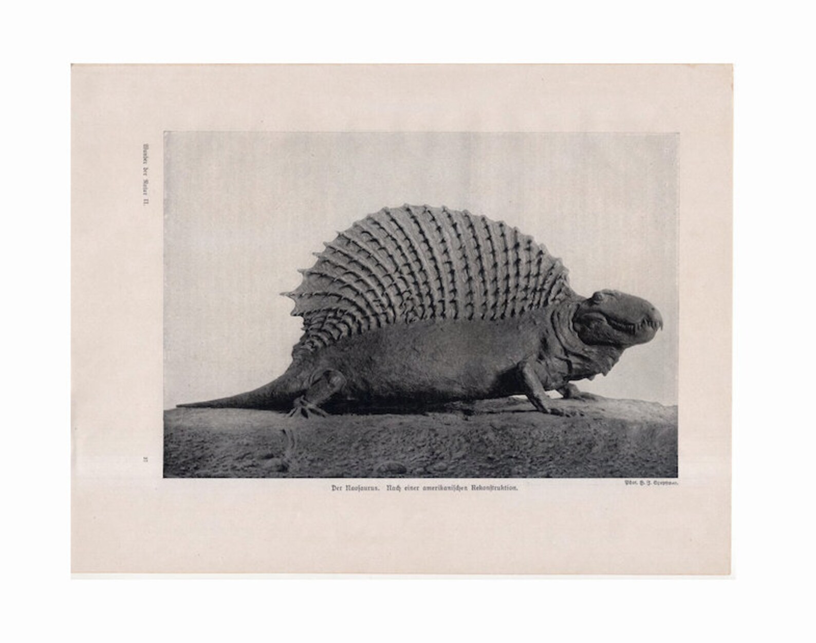 ANTIQUE DINOSAUR PRINTS C. 1900 Set of 2 Original Antique - Etsy