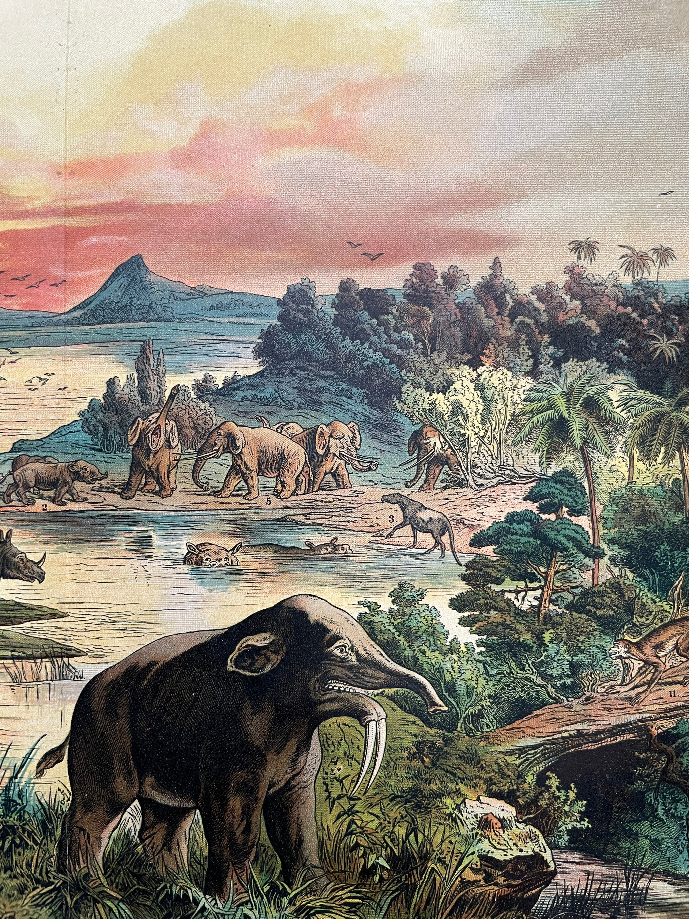 C.1878 LARGE PREHISTORIC LANDSCAPE • Original Antique Print • Dinosaur ...