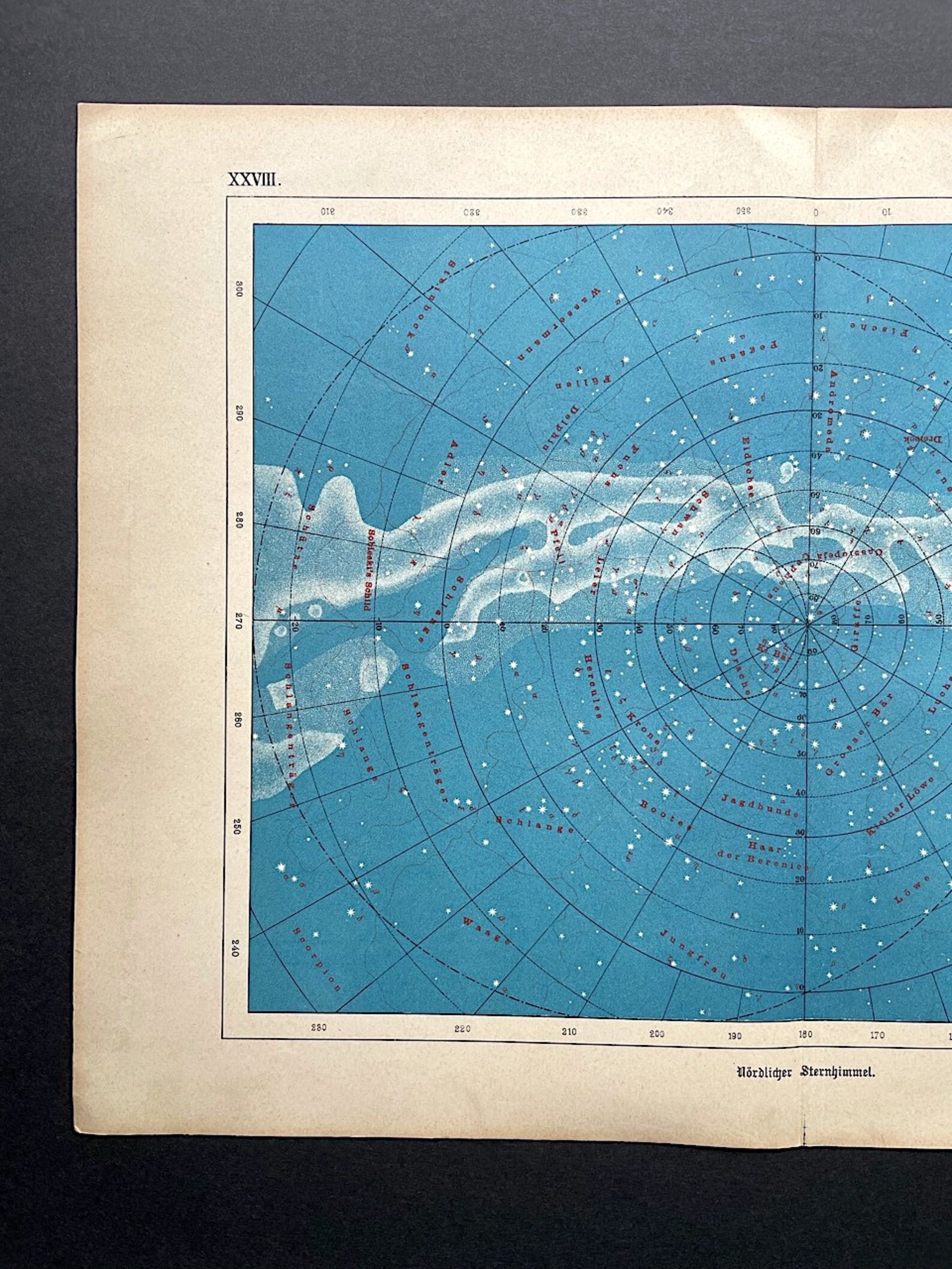 LARGE C. 1892 NORTHERN SKY Print • Original Antique Print • Astronomy ...