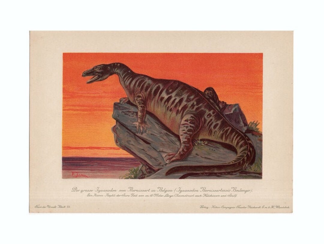 C. 1902 IGUANODON Lithograph • Original Antique Print • Prehistoric ...