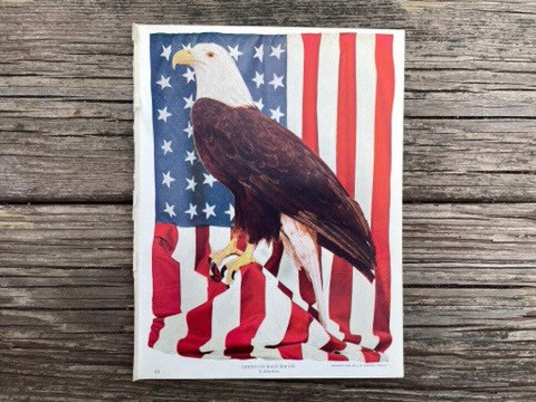 C. 1914 AMERICAN BALD EAGLE Lithograph • Original Antique Print • Bird ...