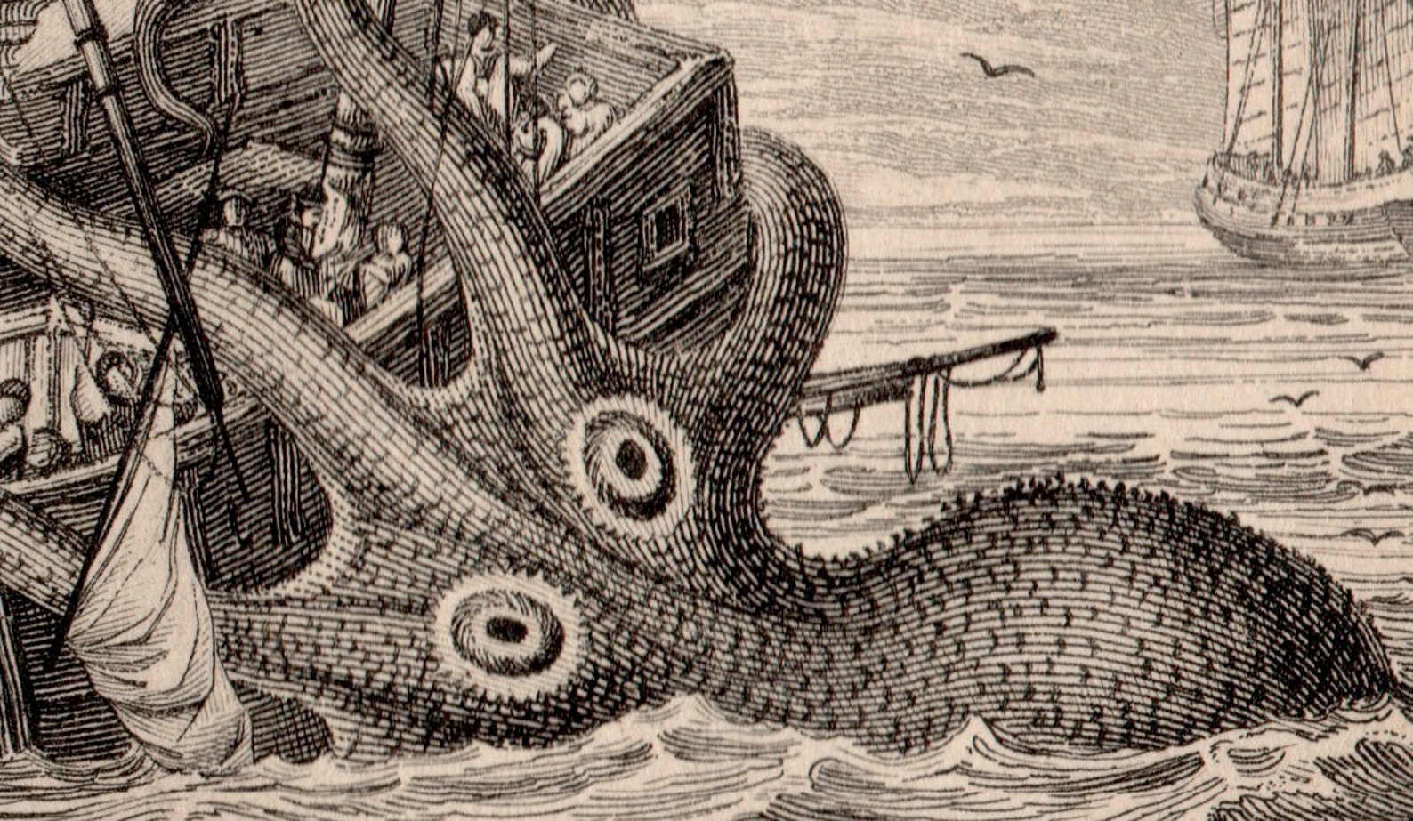 C. 1839 THE KRAKEN ENGRAVING original antique print rare | Etsy