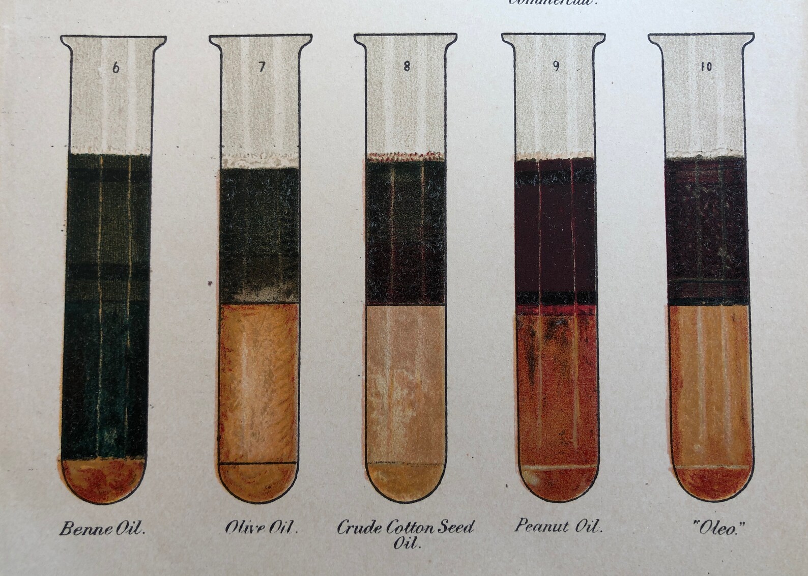 C. 1888 TEST TUBES Print Original Antique Print Laboratory - Etsy
