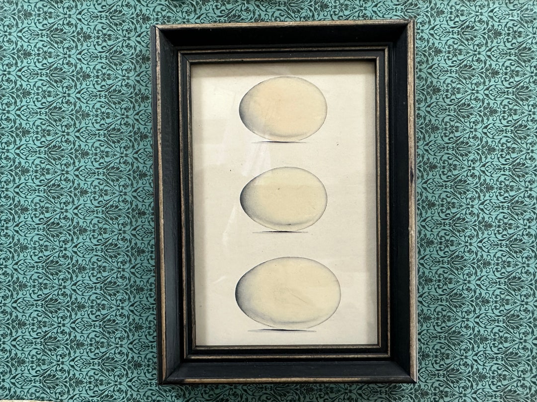 C. 1856 Framed EGGS Lithograph • Original Antique Print • Small Framed ...