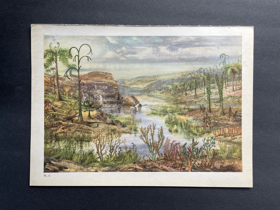 C. 1960 MIDDLE DEVONIAN LANDSCAPE Lithograph • Original Vintage Print ...