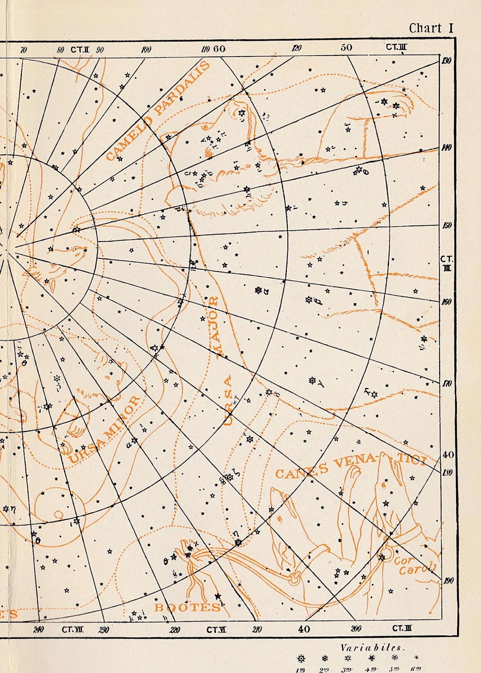 STAR CHART I C. 1908 • Original Antique Print • Celestial Constellation ...