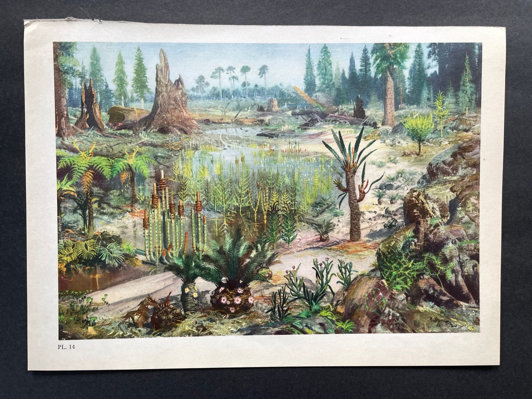 C. 1960 MESOZOIC LANDSCAPE Lithograph • Original Vintage Print ...