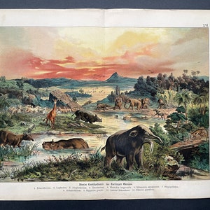 C.1878 LARGE PREHISTORIC LANDSCAPE • Original Antique Print • Dinosaur ...