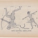 CONSTELLATION FIGURES C. 1946 • Original Vintage Celestial Astronomy ...