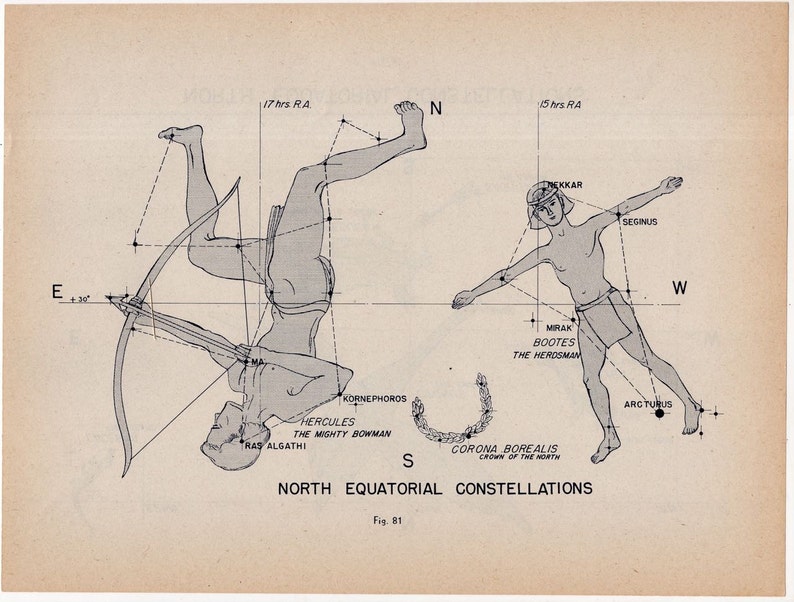 C. 1946 CONSTELLATION FIGURES Original Vintage Celestial - Etsy