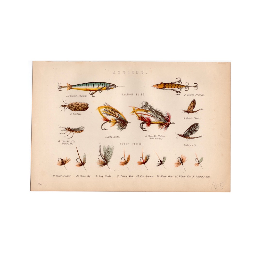 C. 1890 ANGLING Lithograph • Original Antique Print • Lures Flies • Fly ...