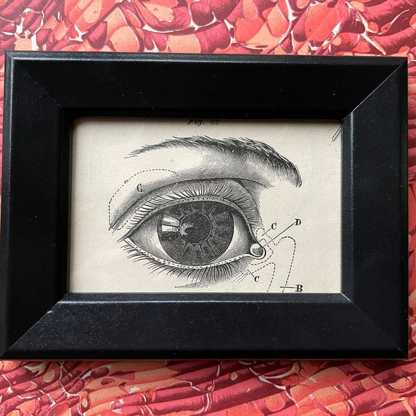 Eye Lithograph - Etsy