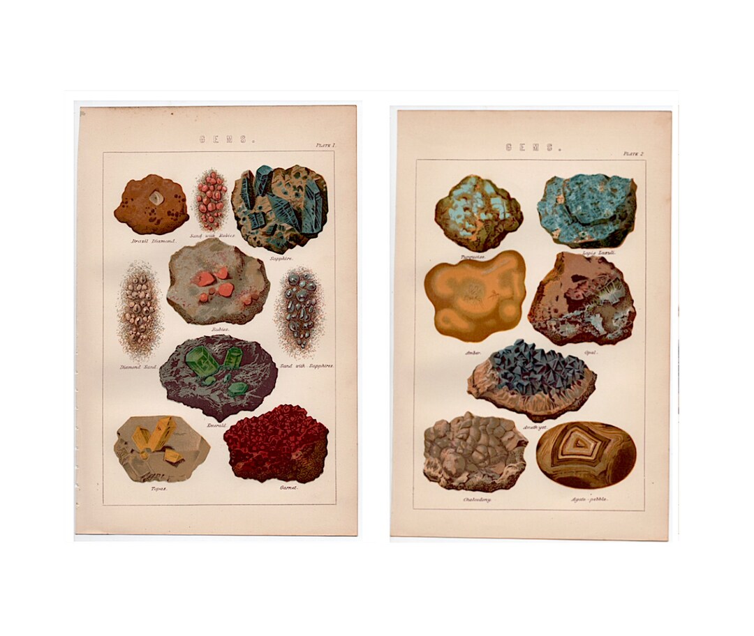 C. 1890 GEMSTONE Lithographs • Set of 2 Original Antique Prints ...