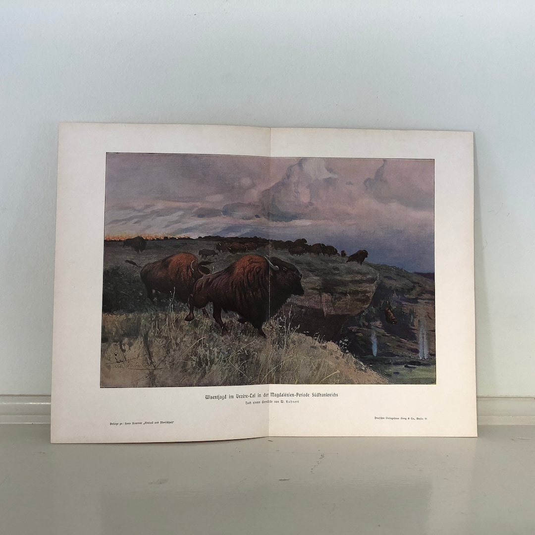 C. 1900 PALEOLITHIC BUFFALO Lithograph • Original Antiqueprint ...