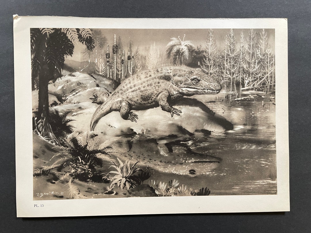 C. 1960 PREHISTORIC ANIMALS Lithograph • Original Vintage Print ...