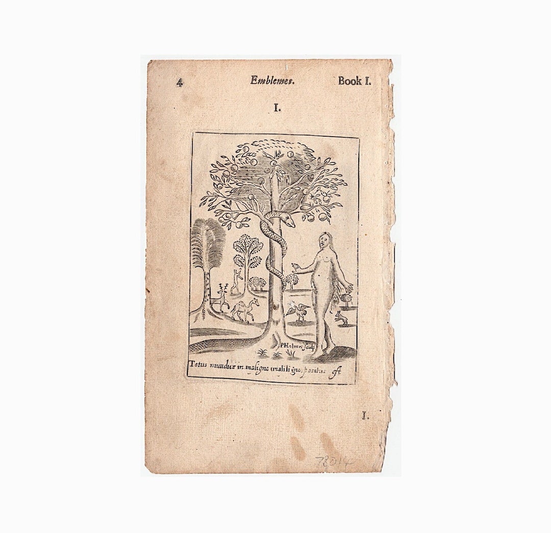 17thc EVE & SERPENT Engraving • Original Antique Print • Tree of the ...