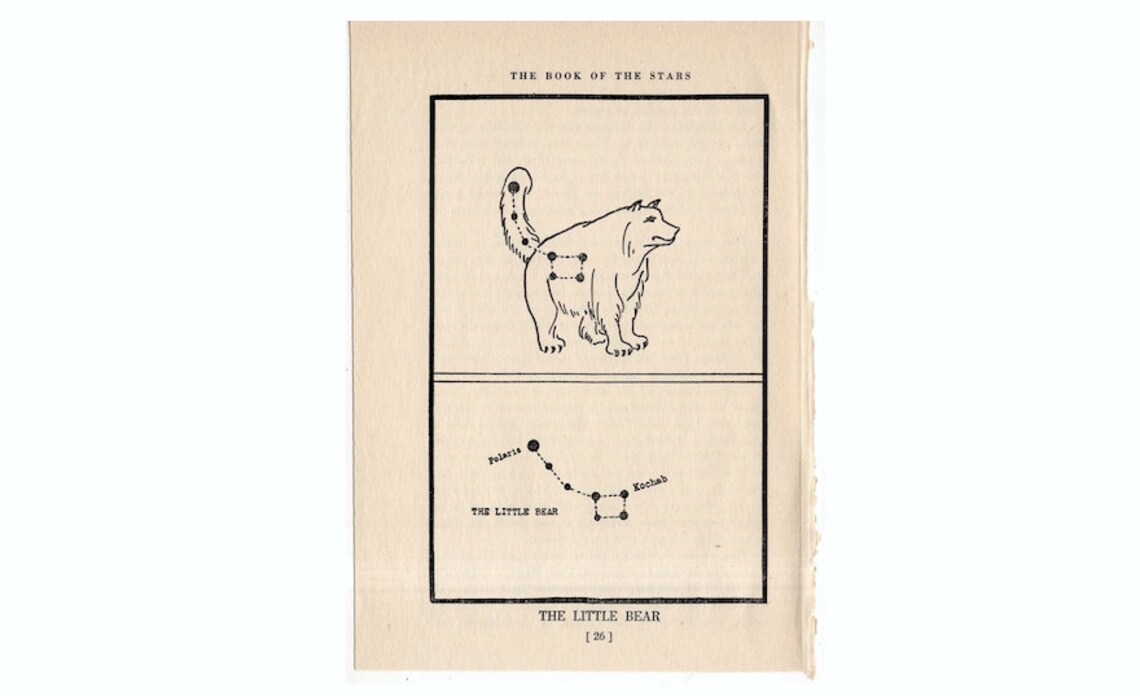 C. 1944 Little Dipper CONSTELLATION FIGURE PRINT Original - Etsy