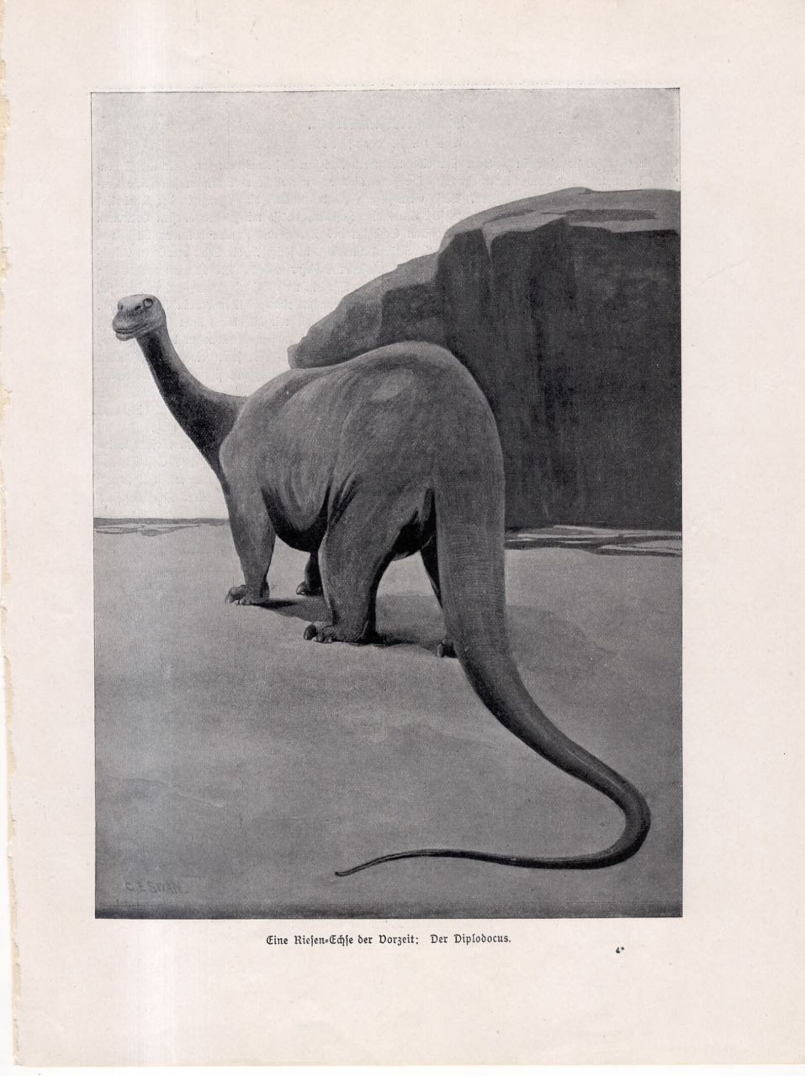 ANTIQUE DINOSAUR PRINTS C. 1900 Set of 2 Original Antique - Etsy