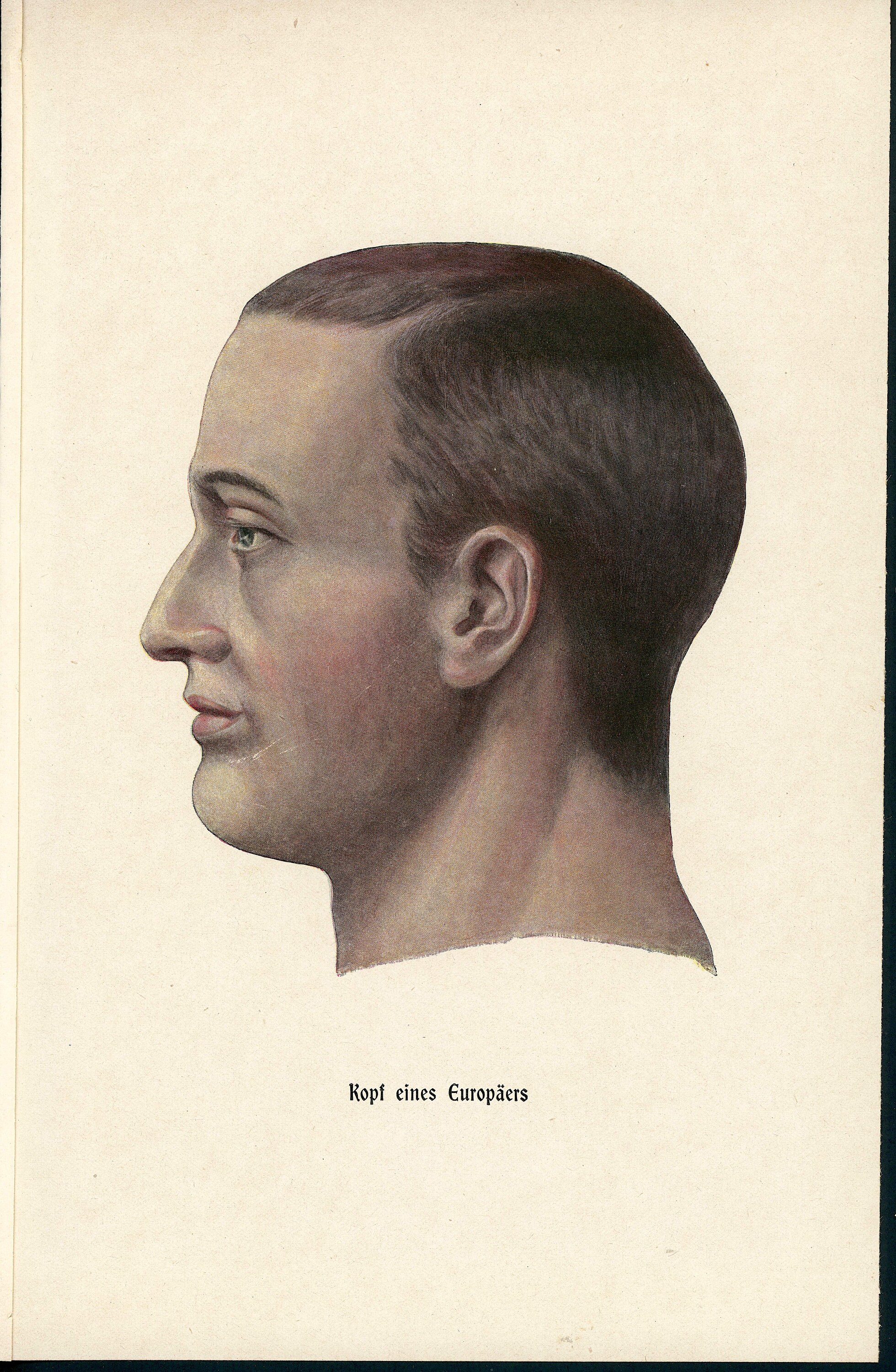 C. 1900 APE & HUMAN HEADS lithographs set of 2 original antique prints ...