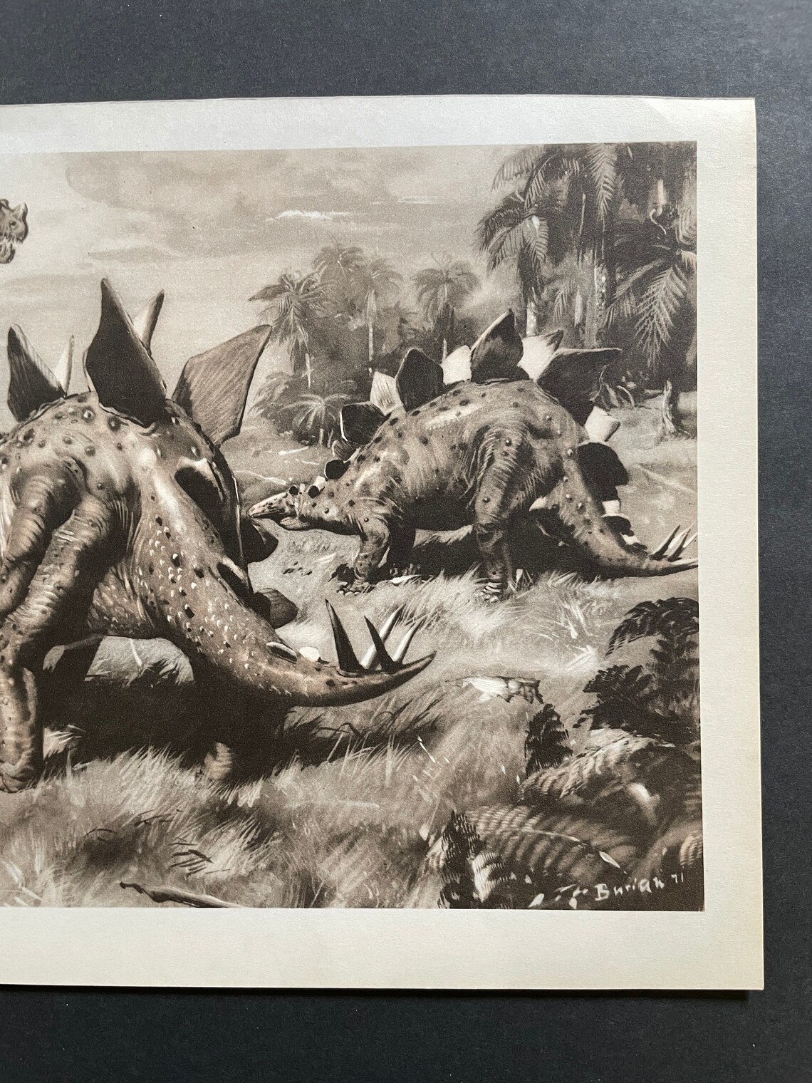 C. 1960 PREHISTORIC ANIMALS Lithograph • Original Vintage Print ...
