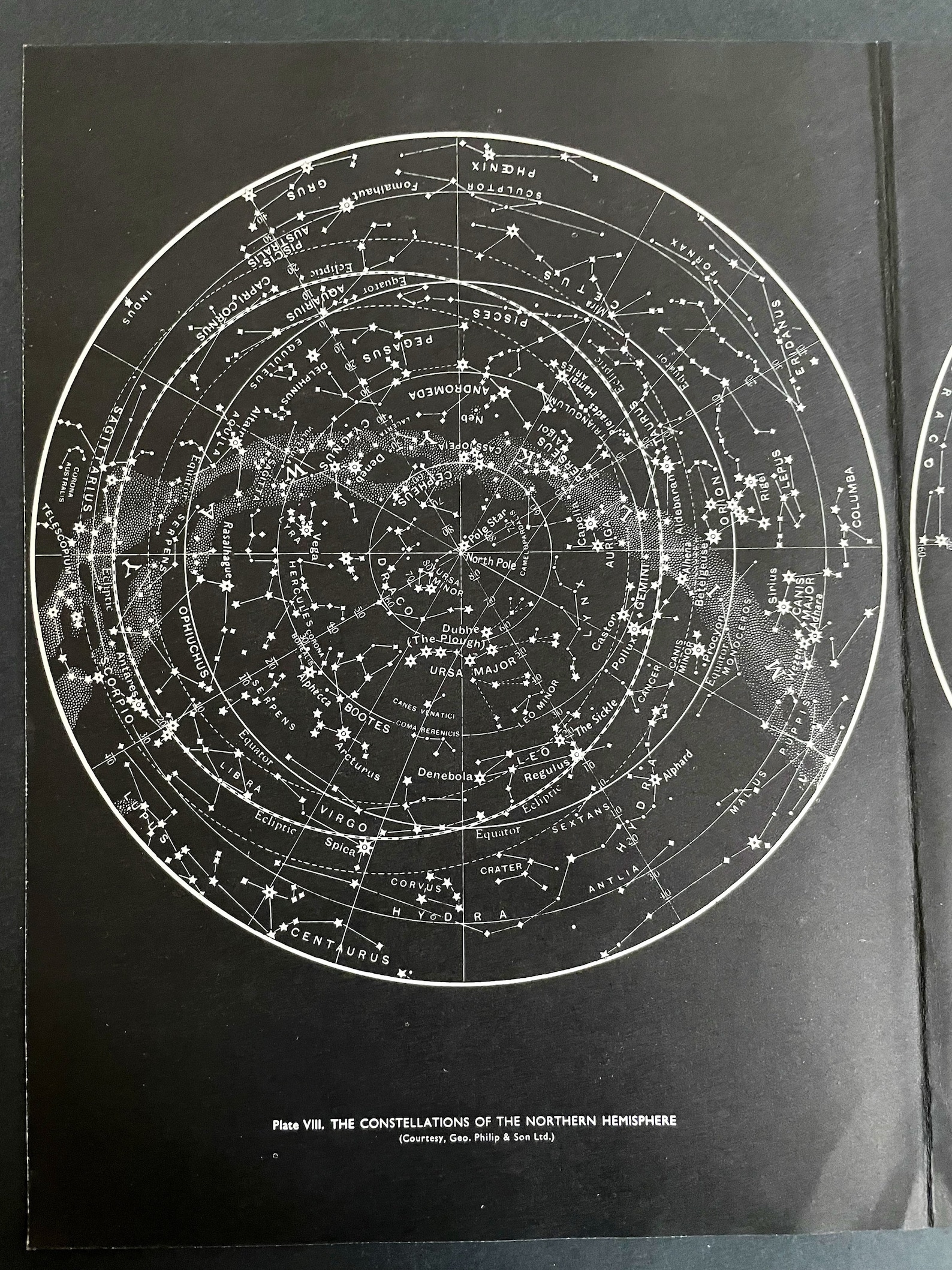 C. 1959 VINTAGE CONSTELLATION MAP Original Vintage Print | Etsy