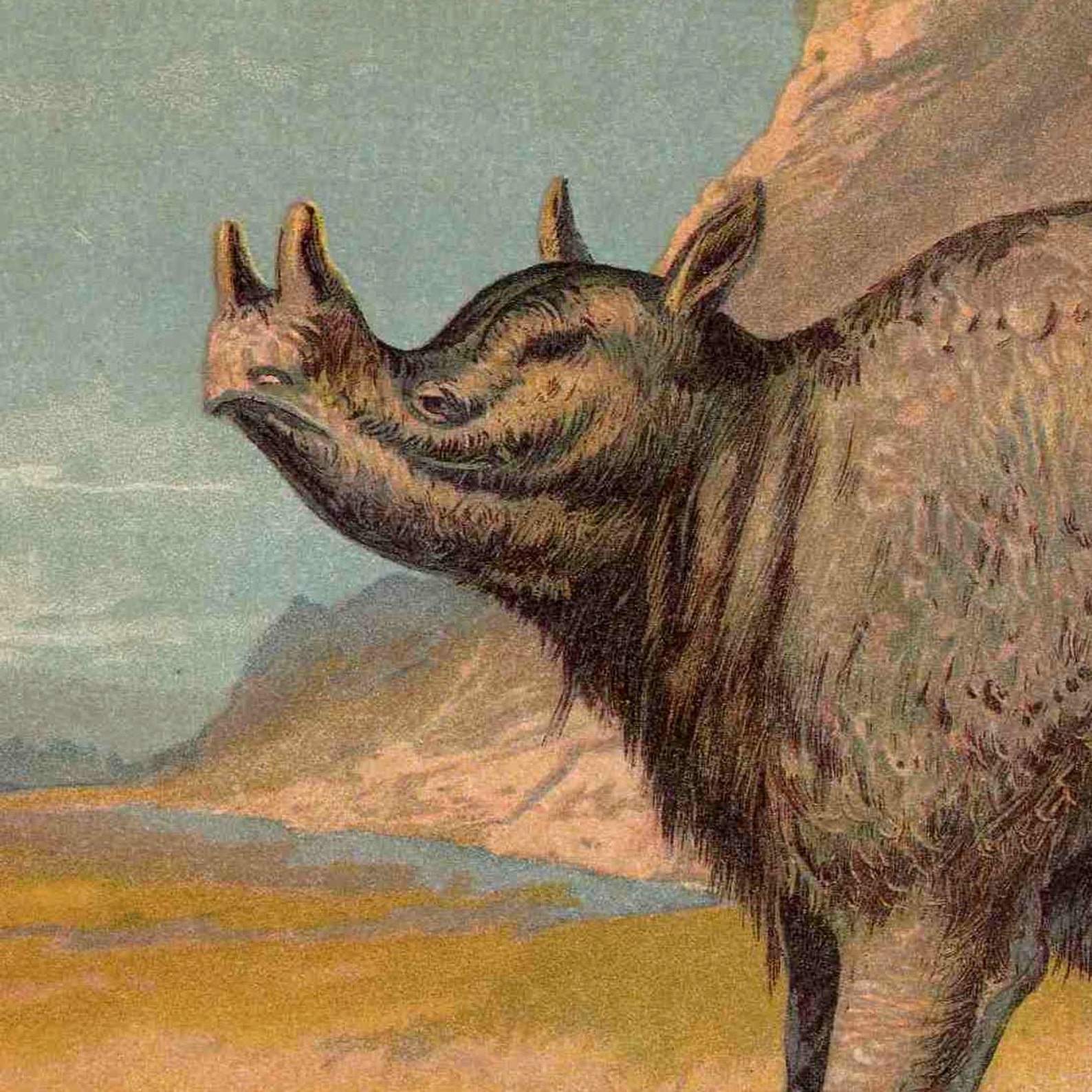 C. 1902 DINOSAUR PRINT BRONTOPS Megacerops Rare Original | Etsy