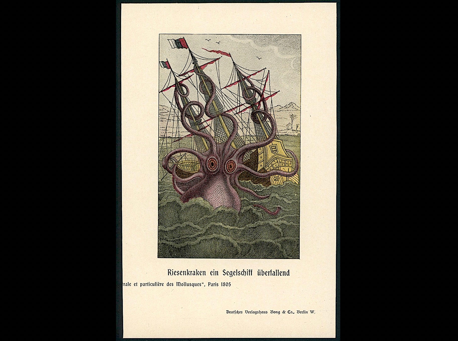 Vintage Kraken Illustration