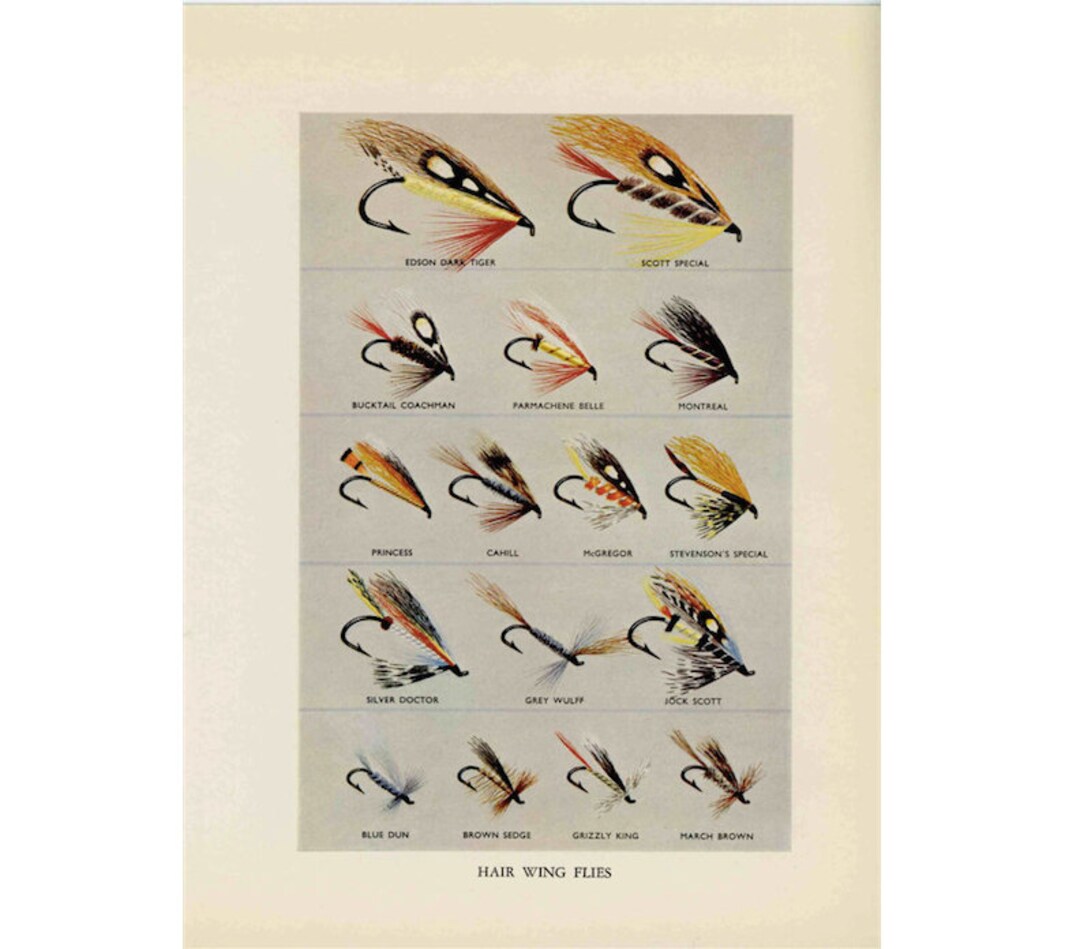 C. 1970 HAIR WING FLIES Lithograph • Original Vintage Print • Fly ...