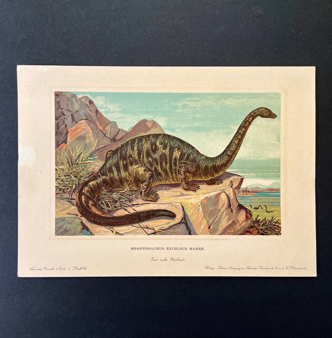 C. 1902 DINOSAUR Lithograph Brontosaurus Rare Original Antique Print ...