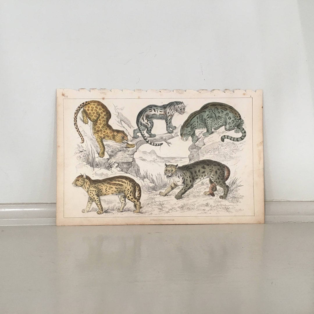 This item is unavailable - Etsy