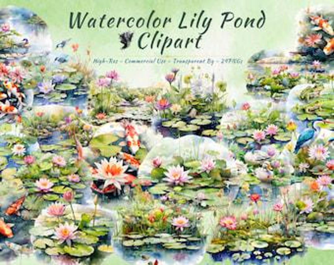Lily Pond Watercolor Clipart: Frog, Koi, Lotus (PNG Digital Download ...