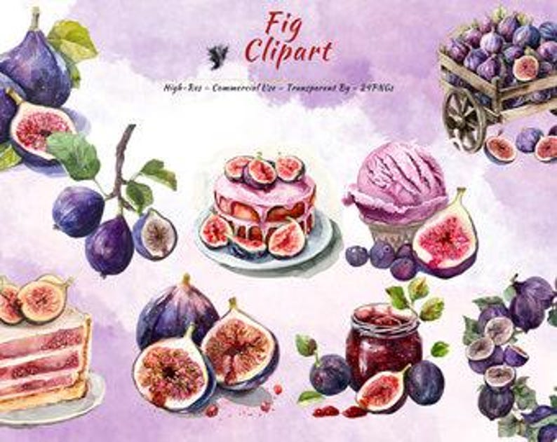 Fig Clipart PNG Collection | Food and Fruit Images - Etsy