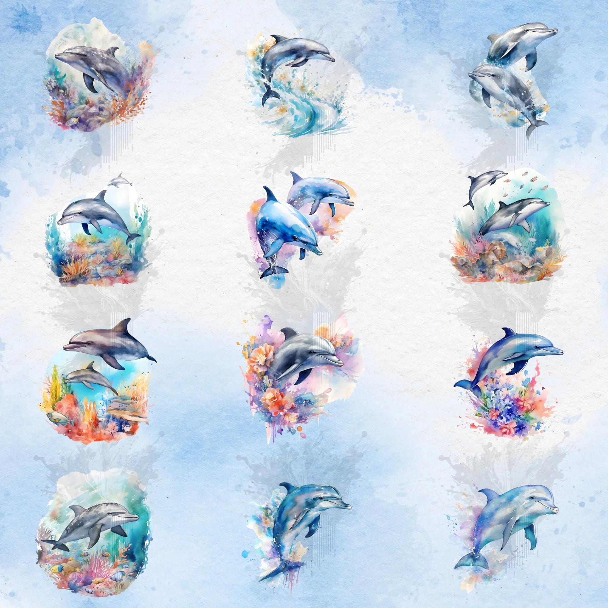 Colorful Dolphins PNG Clipart Collection | Sea Life, Nautical, Ocean ...