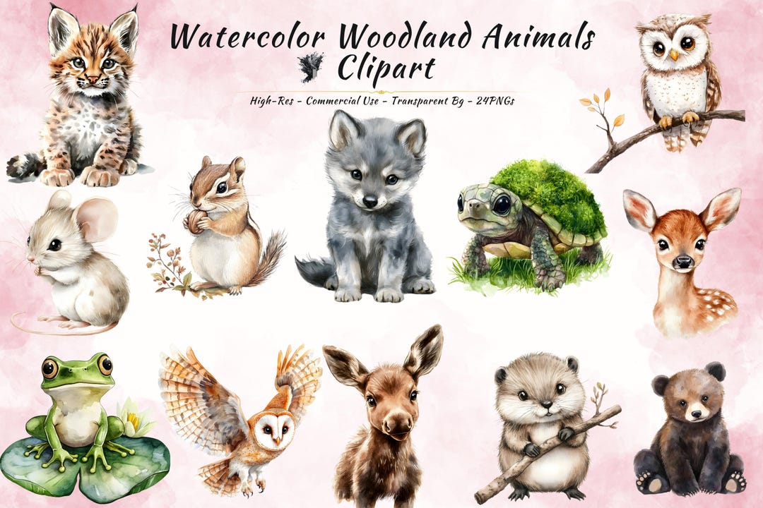 Woodland Animal Clipart Bundle | Watercolor Forest Creatures | 24 Pngs ...