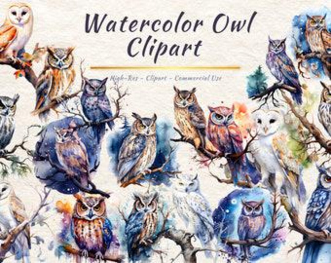 Mystical Owl PNG Clipart Collection | Celestial, Fantasy, Magical ...