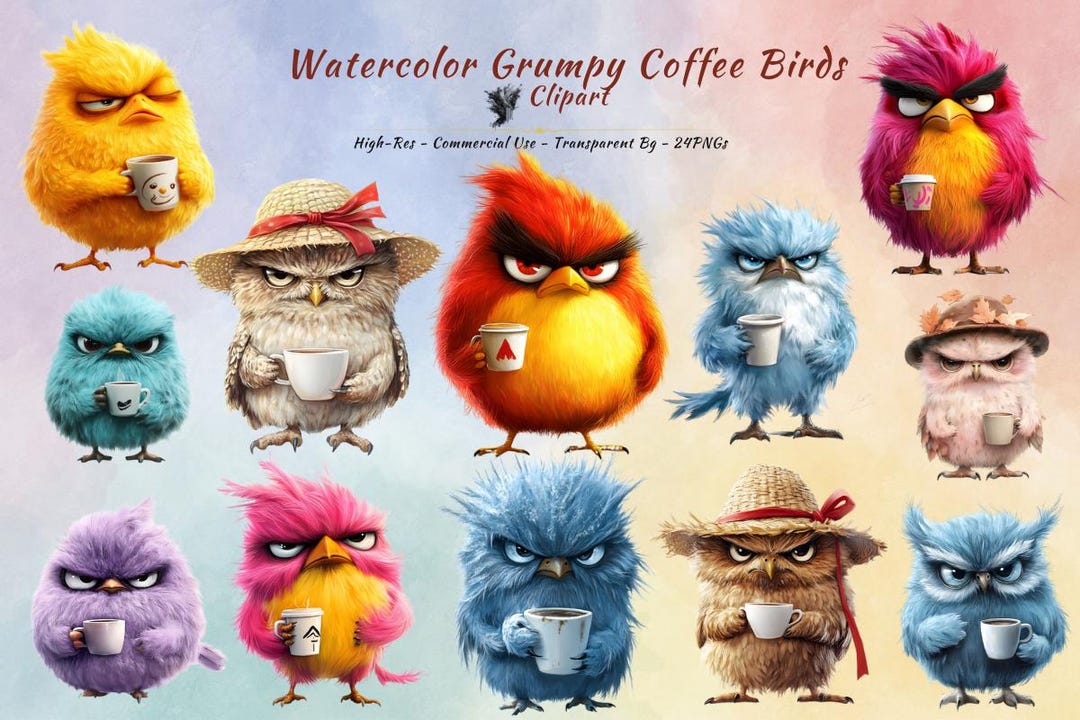 Grumpy Birds Clipart | Funny Bird PNG | Morning Animals - Etsy