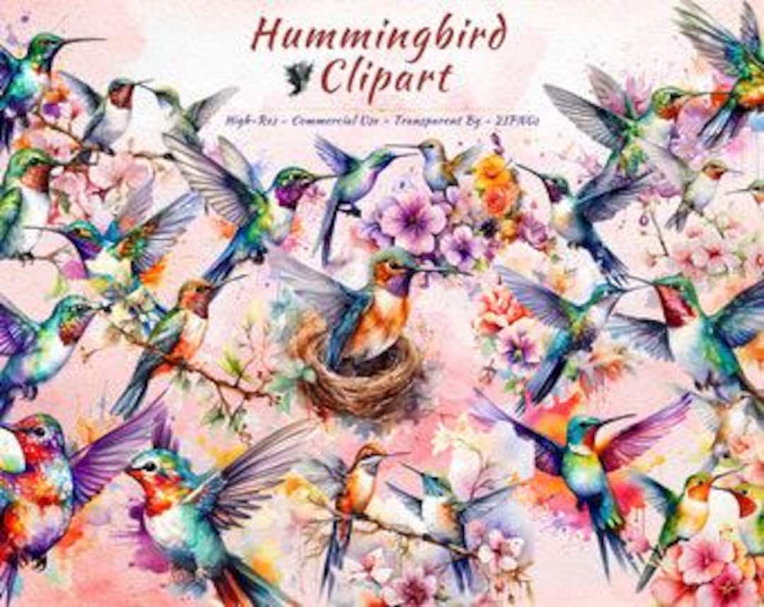Hummingbird PNG Clipart Collection | Floral, Spring, Bird Clipart ...