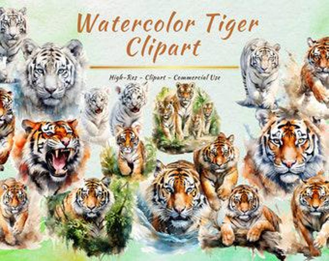 Tiger Clipart Bundle, Watercolor Safari Jungle Animals Floral Wildlife ...
