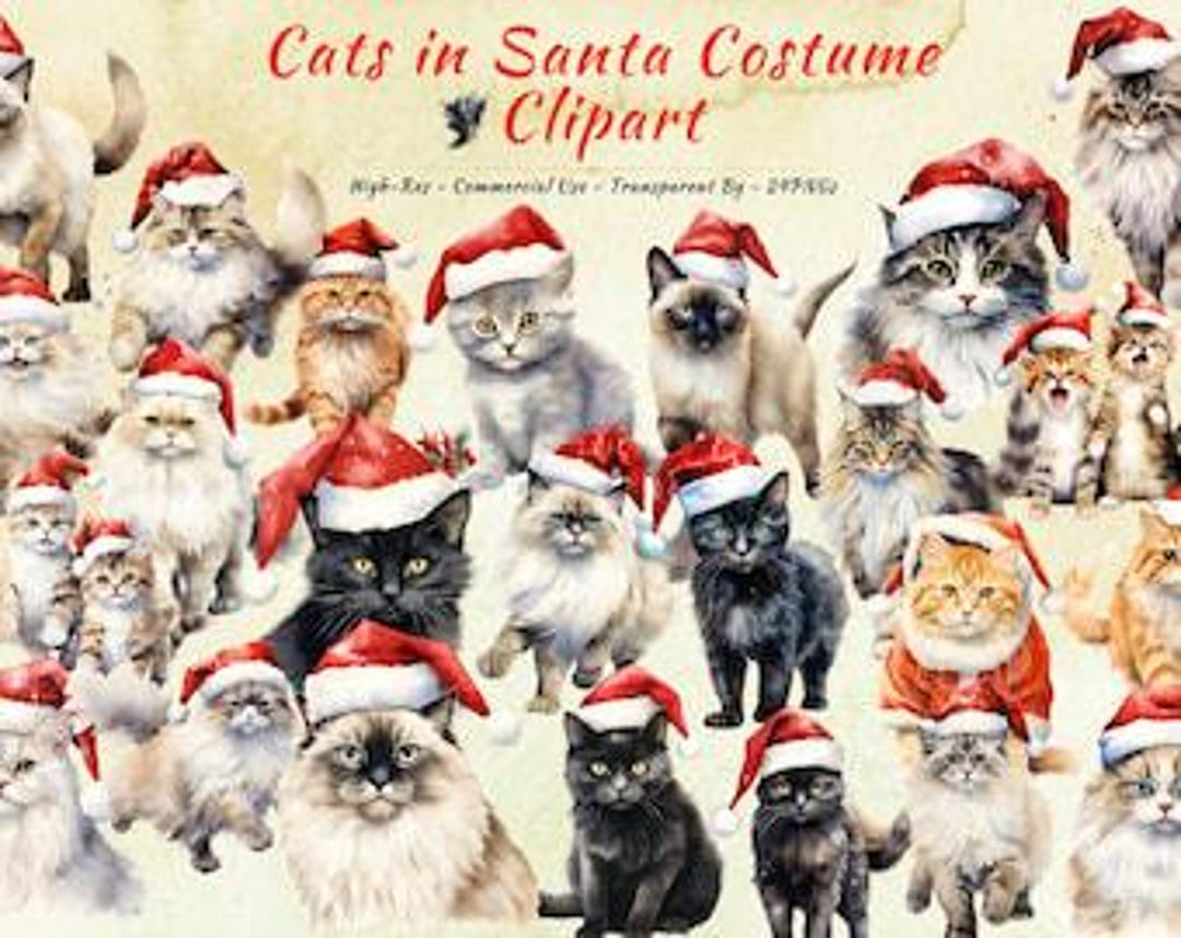 Santa Cats PNG Clipart: Ragdoll & British Shorthair (digital Download ...