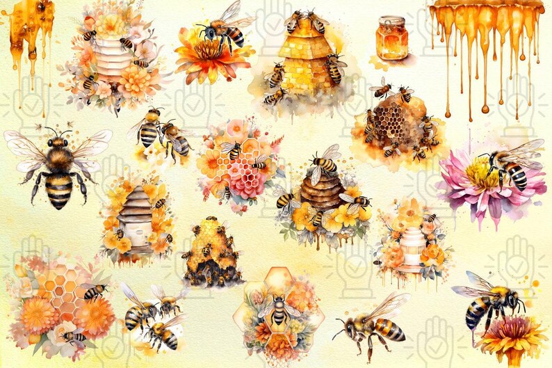 Honey Bee PNG Collection | Beehive, Spring, Floral, Honey Jar Clipart ...