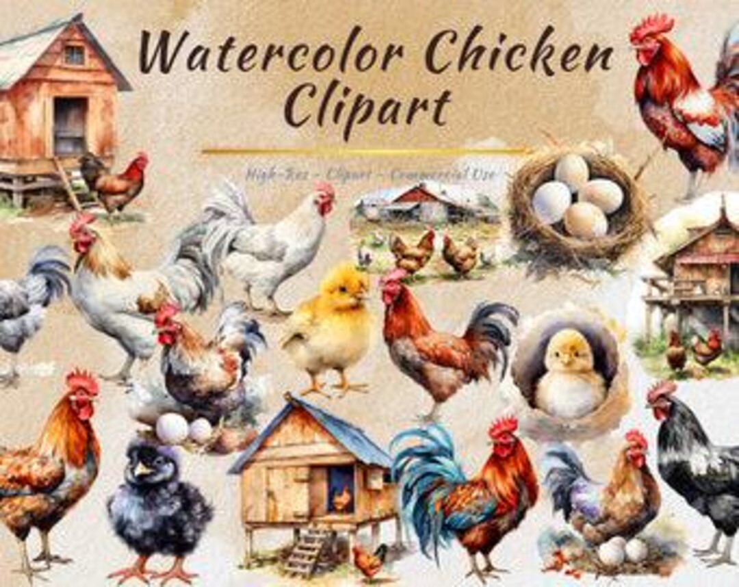 Chicken PNG Clipart Collection | Easter, Chick, Rooster, Egg, Farm ...