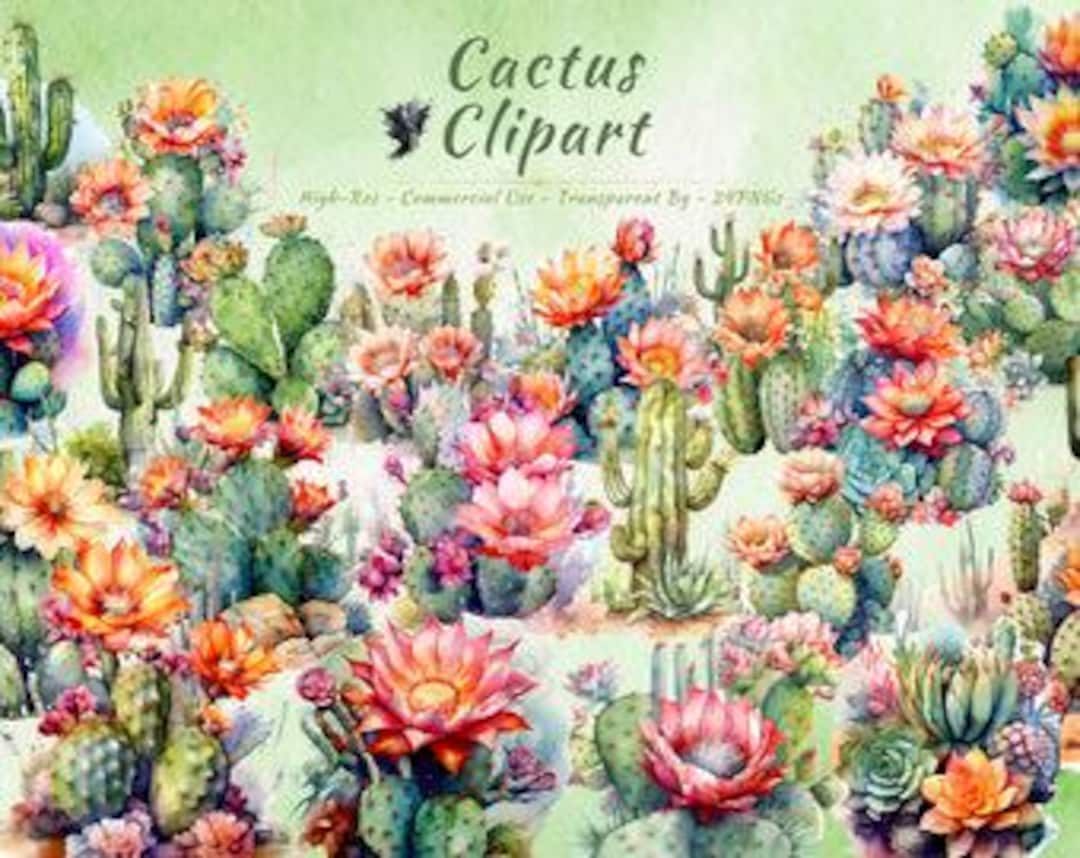 Cactus PNG Clipart Collection | Deserty Cactus, Botanical, Floral ...