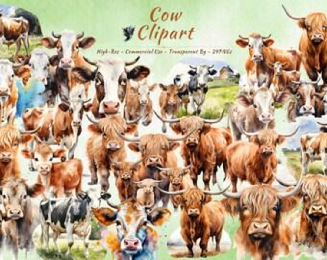 Highland Cow PNG Clipart Bundle | Farm Animal Graphics - Etsy